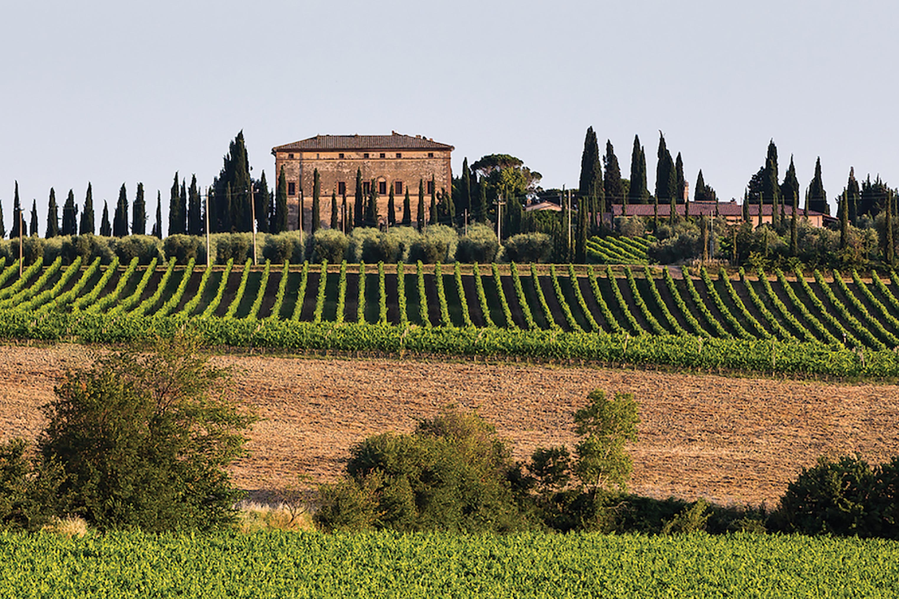 Quarantine Wine Class Hosted by Argiano Winery | Beverage Business, LLC