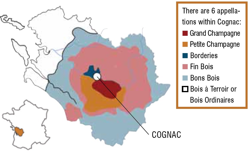 Back to Basics: Cognac 101 | Beverage Business, LLC